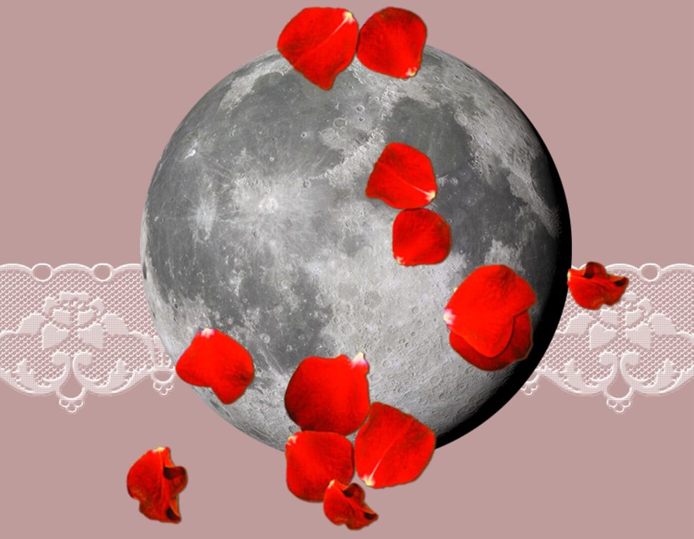 This Week: Blood Wedding - Everyman Theatre Company